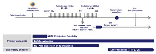 NANOBIOTIX: Promising Data from Phase I/II Head and Neck Cancer Trial ...